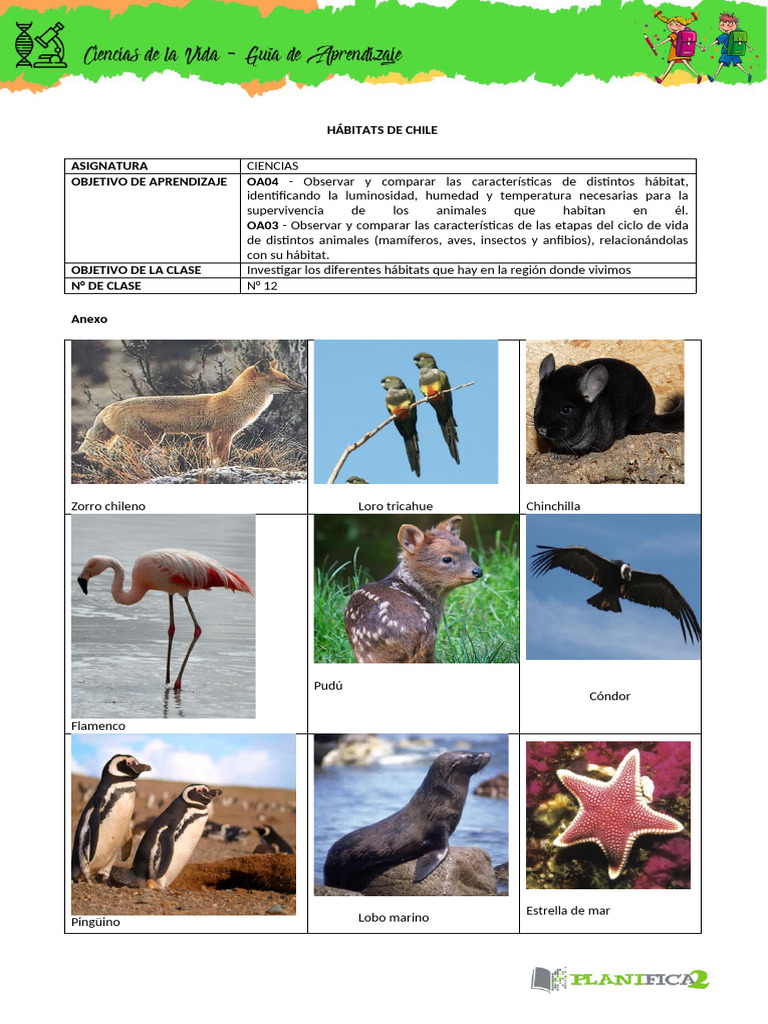 Hábitats y fauna de Chile | PDF
