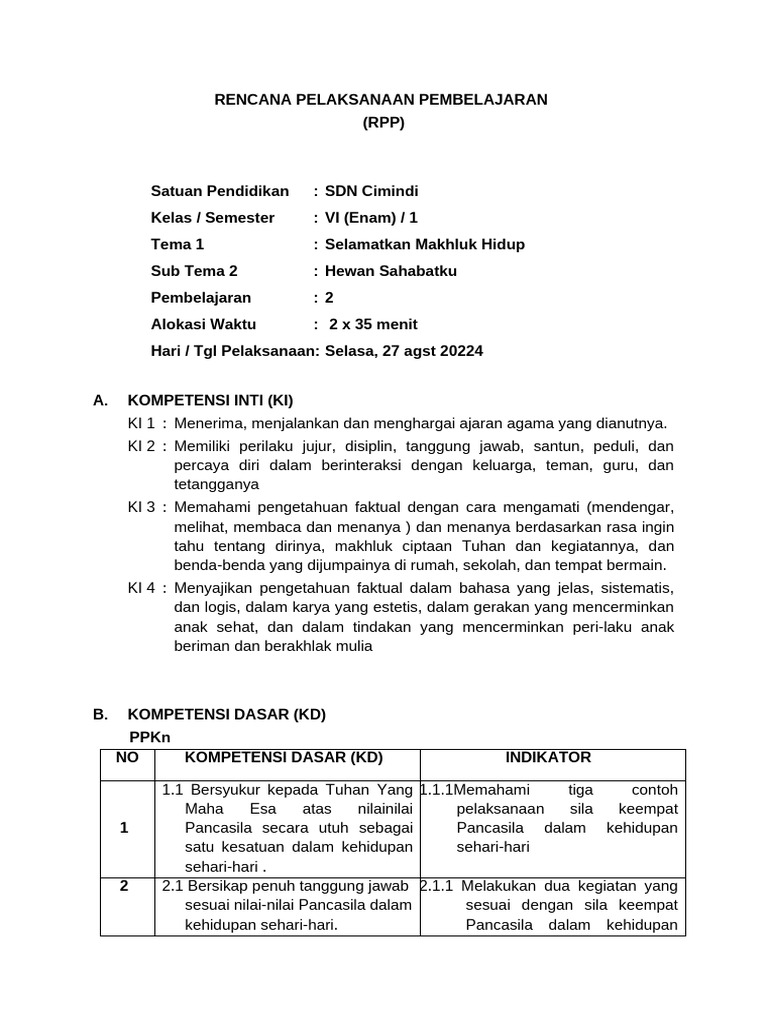 RPP Berdiferensiasi Dan KSE - kls6 | PDF