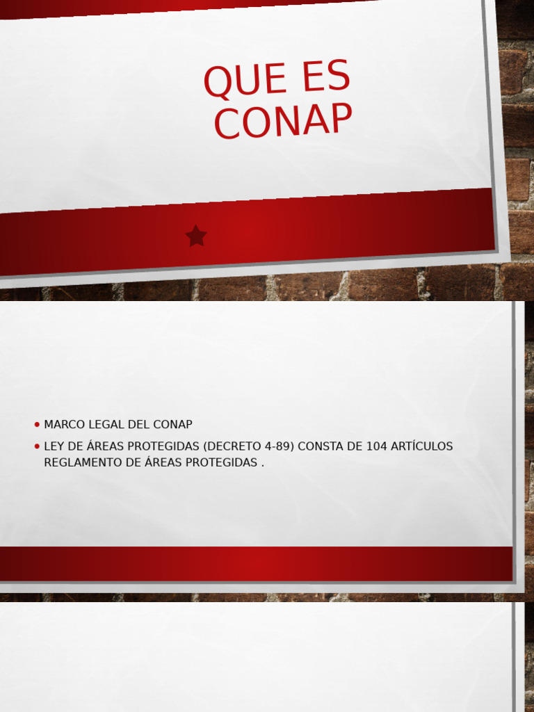 Qué es el CONAP y su función en Guatemala | PDF | Movimiento ...