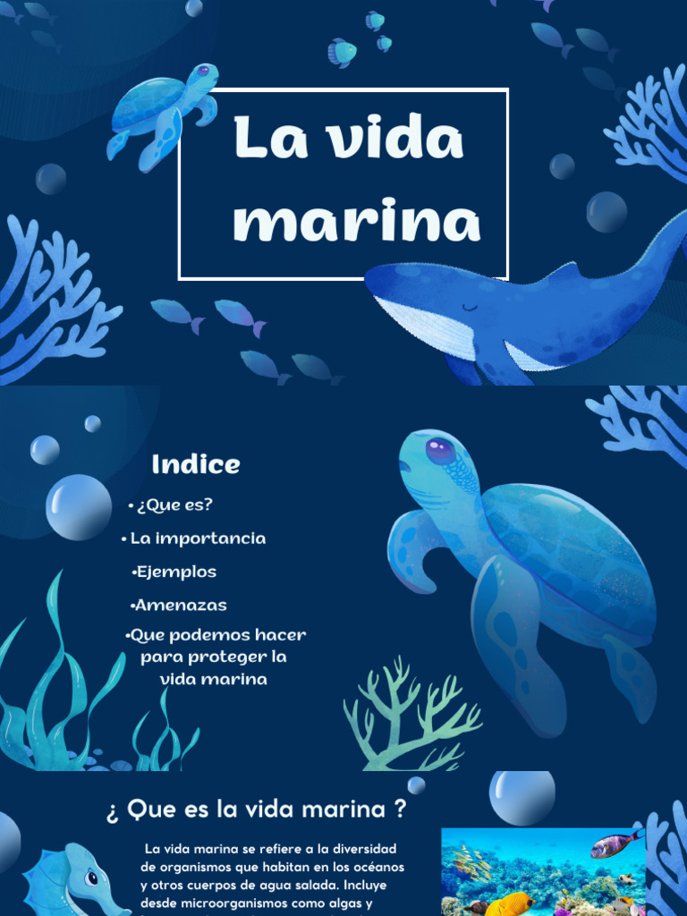 Importancia de la Vida Marina | PDF | Mar | Ciencias de la Tierra