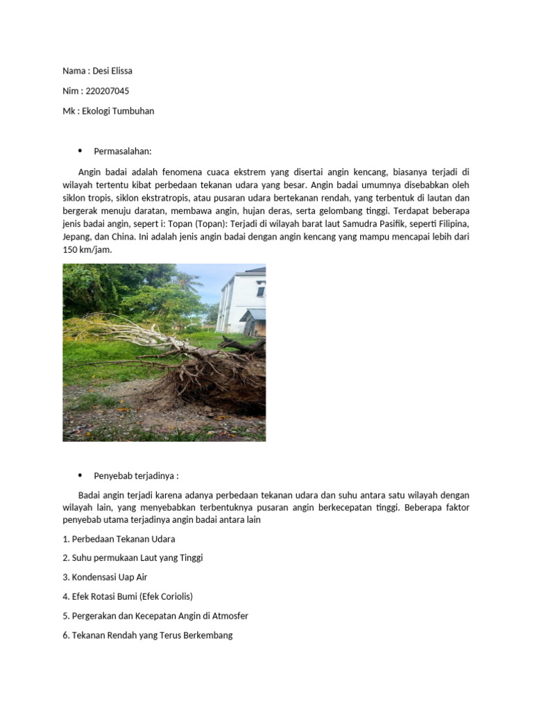 Penyebab dan Dampak Angin Badai | PDF