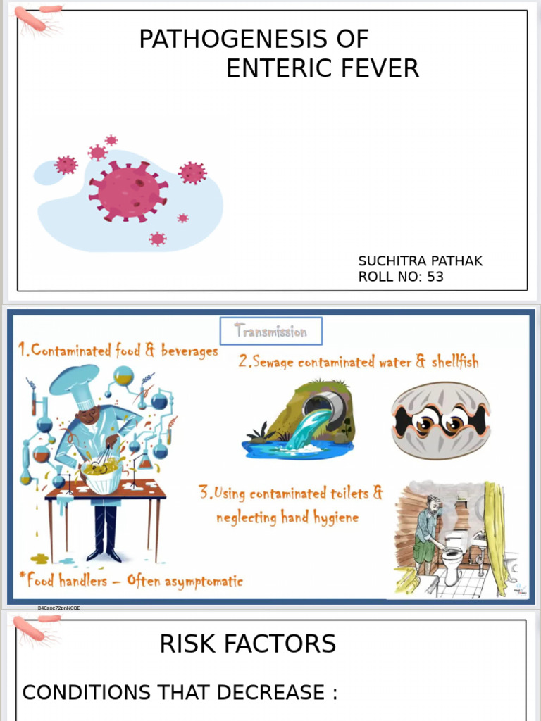 Enteric Fever Pathogenesis Overview | PDF