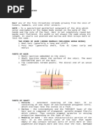 Hair Scale Patterns Lab Guide | PDF | Home & Garden