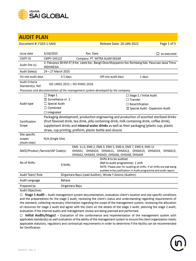 F103 1 SAIG Audit Plan Co Branded | PDF | Audit | Internal Audit