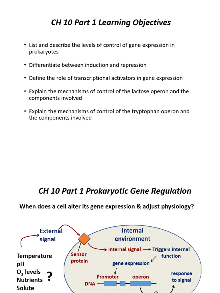 Prokaryotic Gene Regulation Overview | PDF | Operon | Repressor