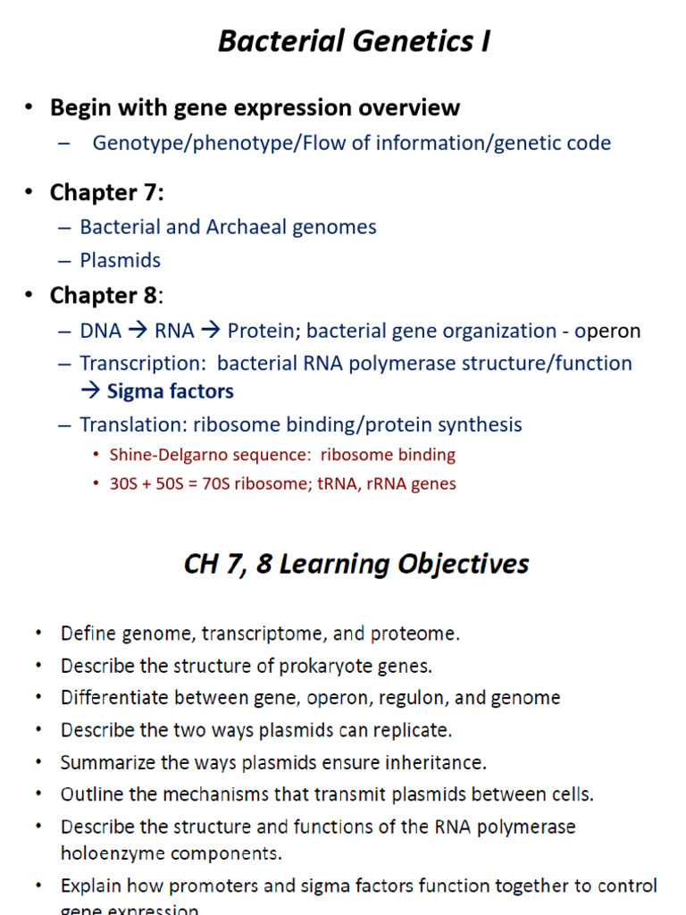 CH 07, 08 Prokaryote Genomes & Gene Expression-1 | PDF | Sense (Molecular Biology) | Gene