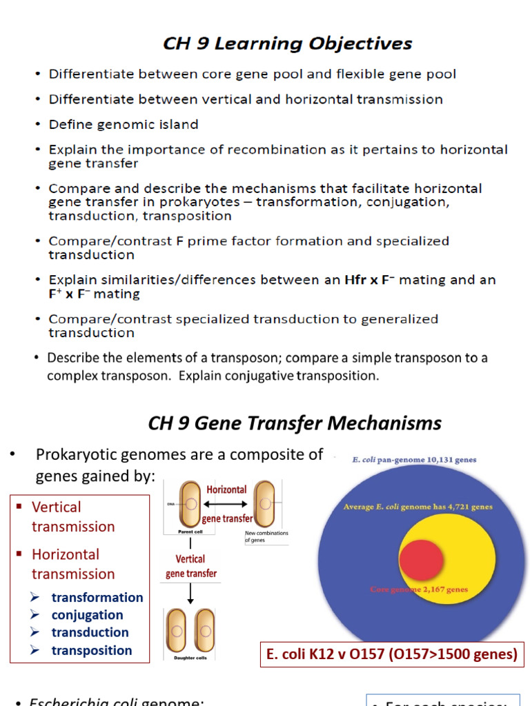 Gene Transfer Mechanisms in Prokaryotes | PDF | Transposable Element ...