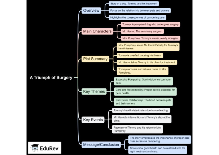 A Triumph of Surgery Mind Map | PDF