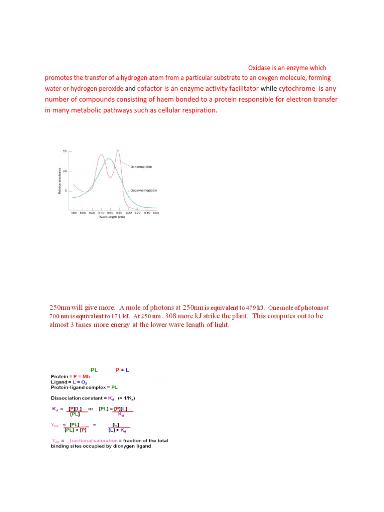 SPB 9114 Bioinorganic Chemistry CAT - 2-Memo | PDF | Photosynthesis | Chemistry