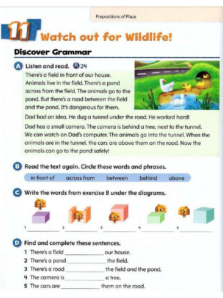 Preposition of Place Practice | PDF