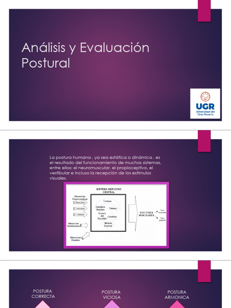 Clase 2. 14-04.Analisis y Valoración Postural | PDF | Músculo | Abdomen