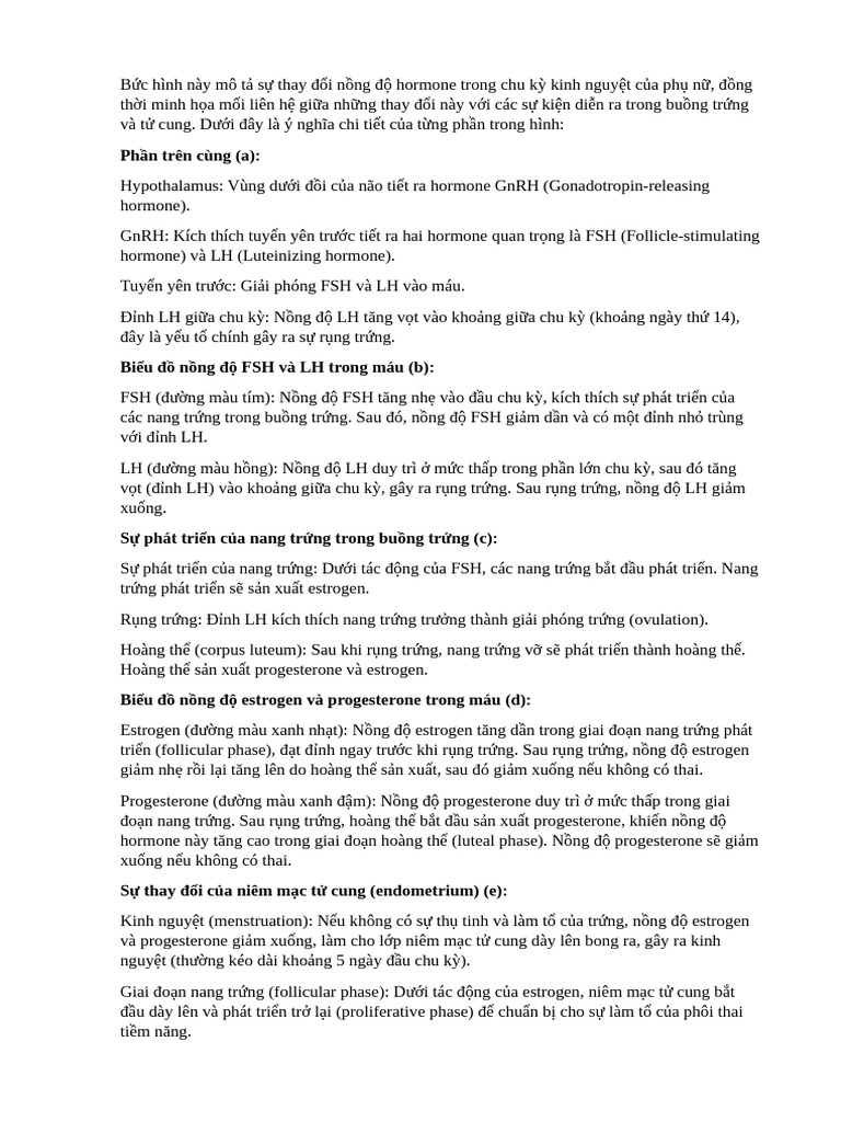 Giảng bài hormon sinh dục | PDF