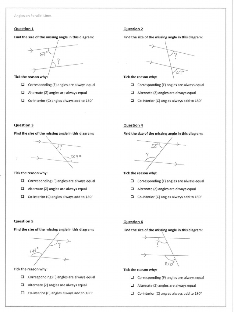 Introducing Angles On Parallel Linesc | PDF