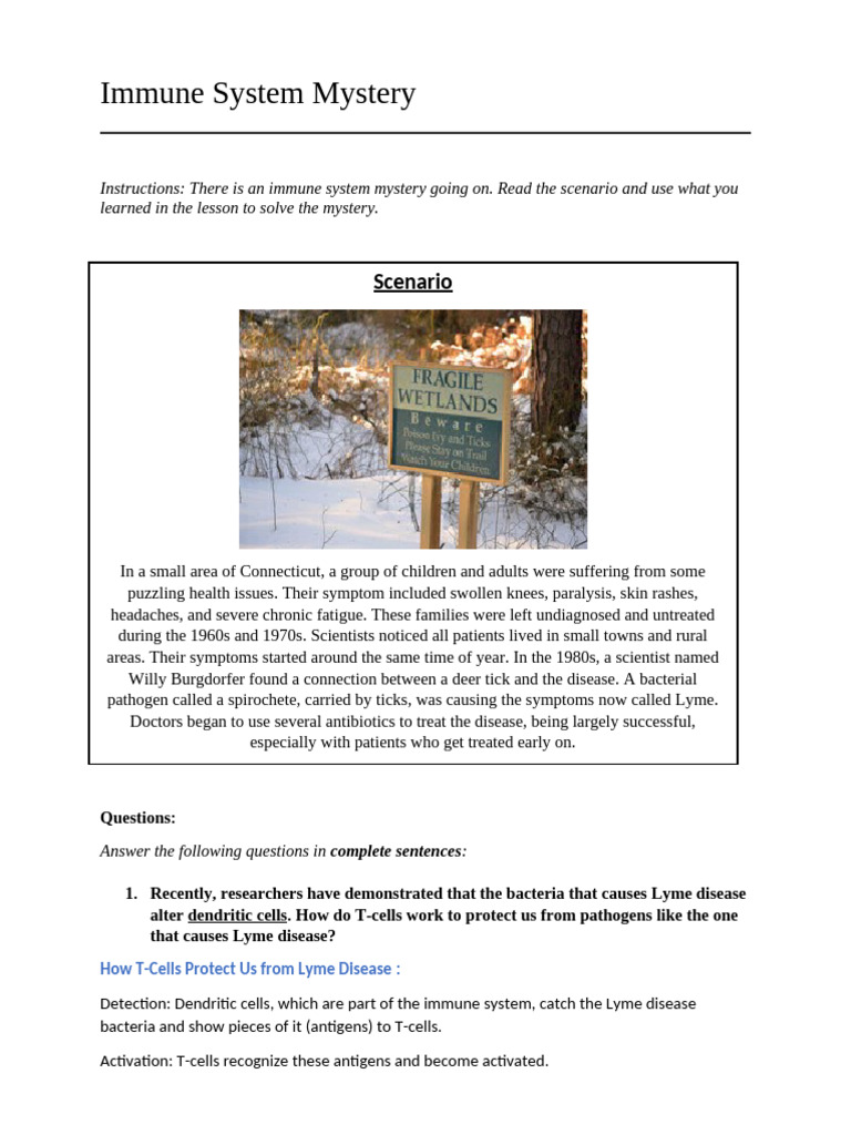 06_08_immune_system_mystery_assignment_(1) | PDF | Lyme Disease ...