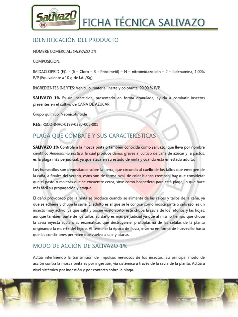 Ficha Tecnica Salivazo | PDF | Plaga (organismo) | Insectos
