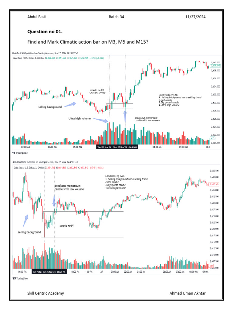 Assingment 4 Phase 3 VSA | PDF