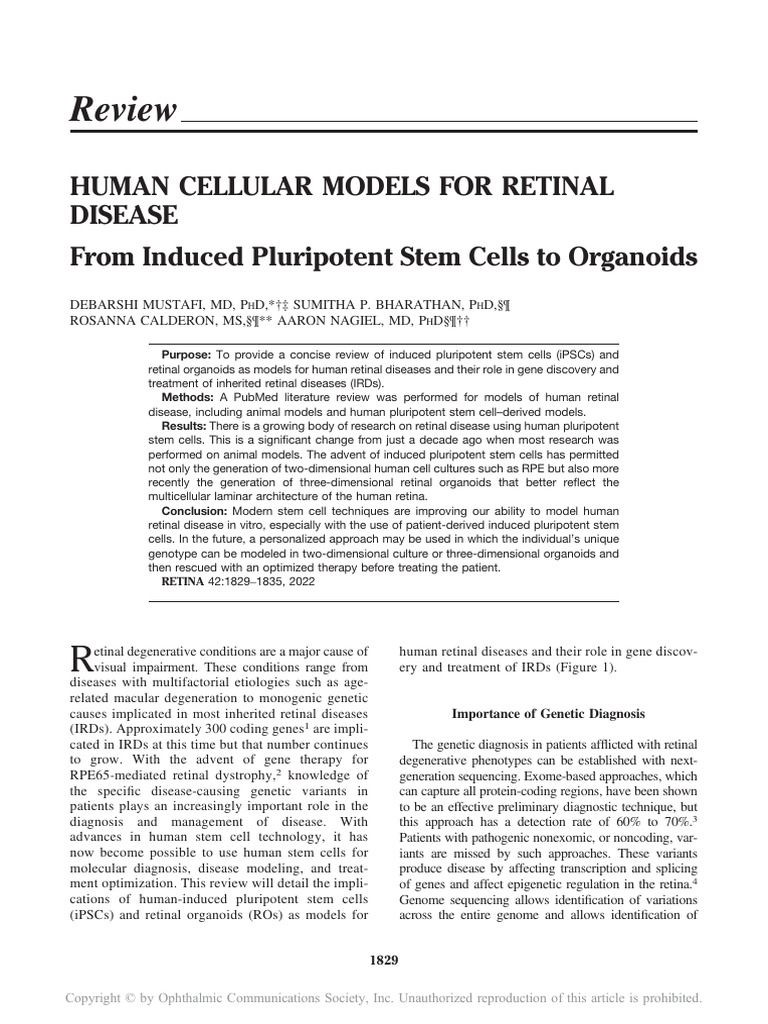 Human cellular models for retinal disease | PDF | Retina | Model Organism