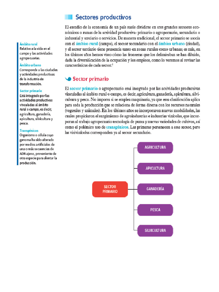 Sectores Productivos | PDF