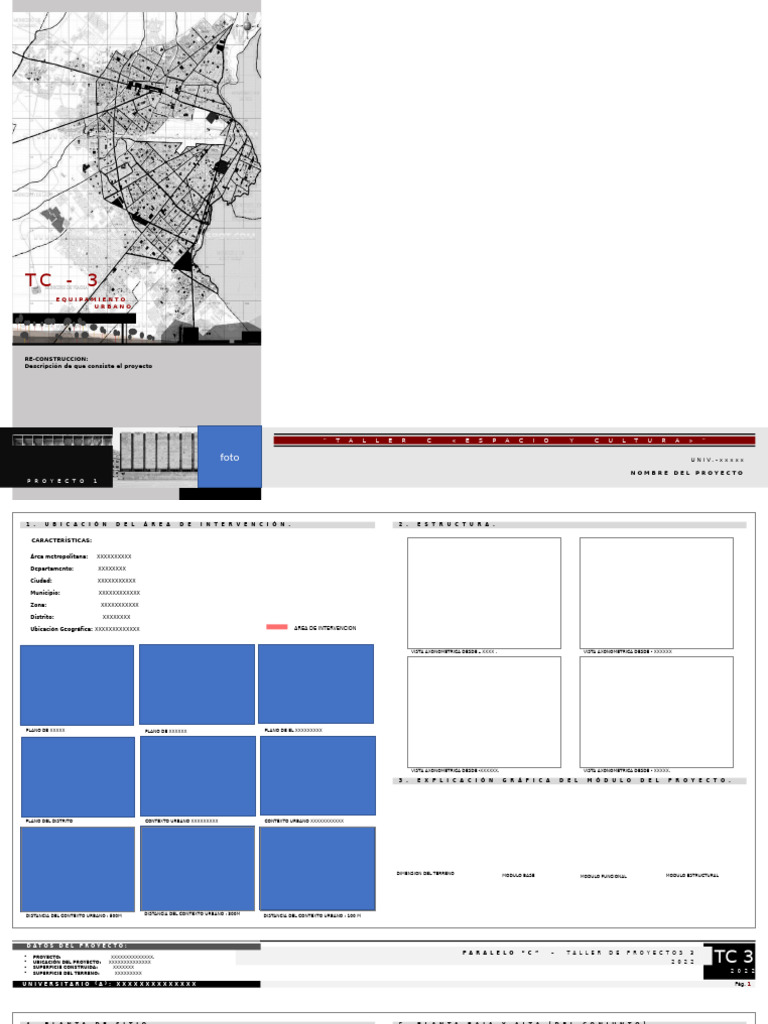 formato de TC3 | PDF