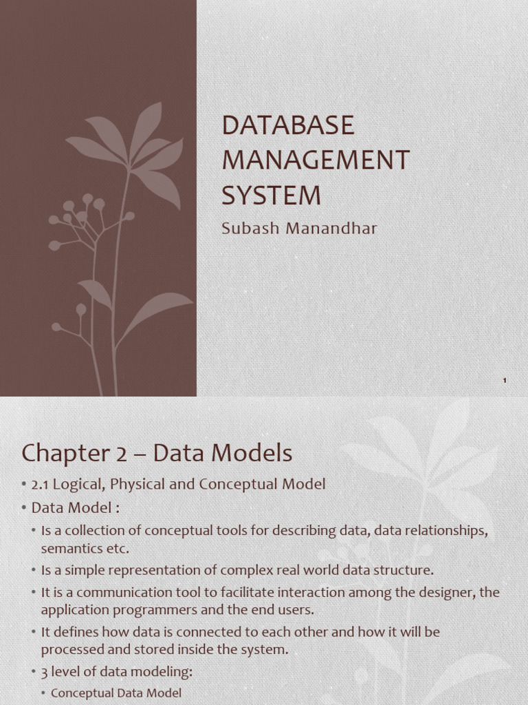 Chapter2 DatabaseSystemConceptsAndArchitecture | PDF | Object Oriented Programming | Class ...