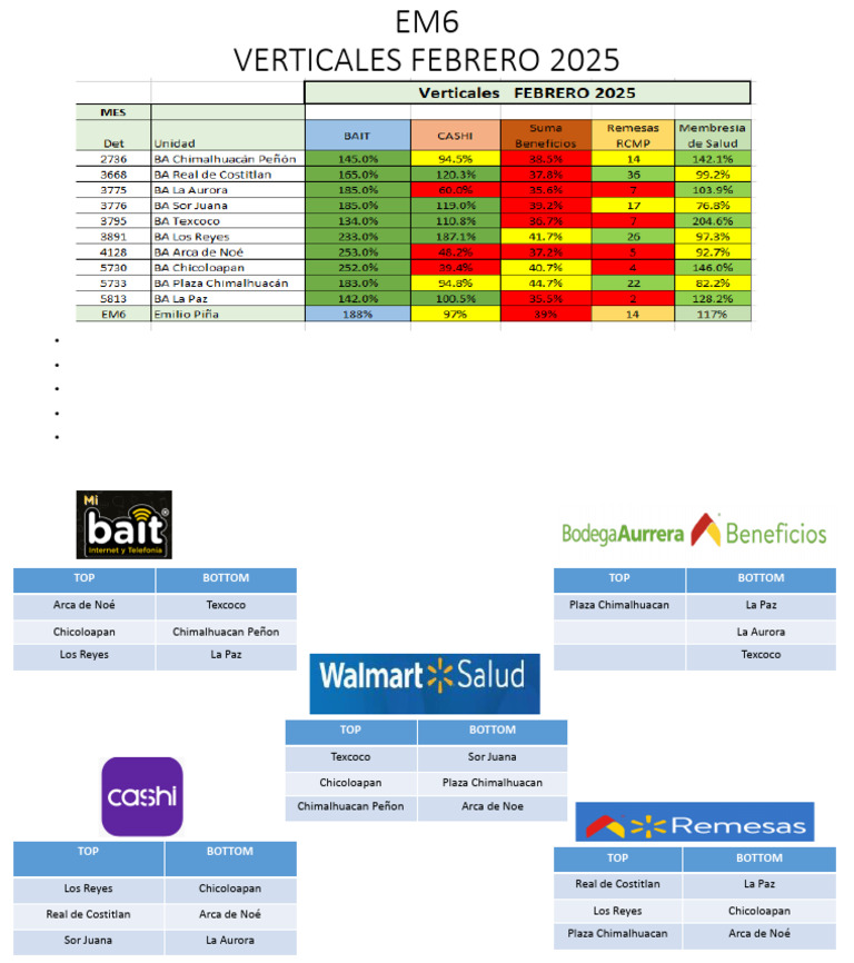 Em6 Verticales Febrero 2025 | PDF