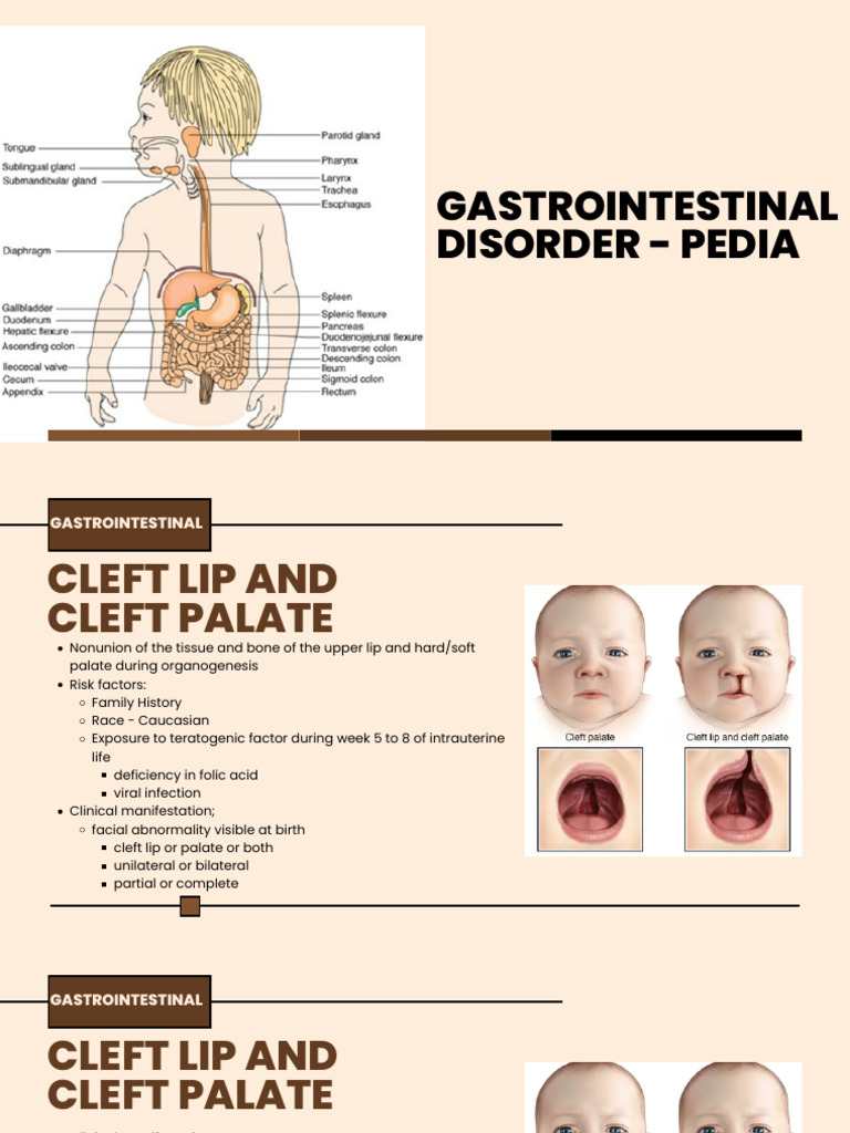 Pediatric Gastrointestinal Disorders Overview | PDF | Esophagus ...
