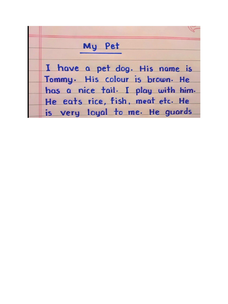My Pet1 | PDF