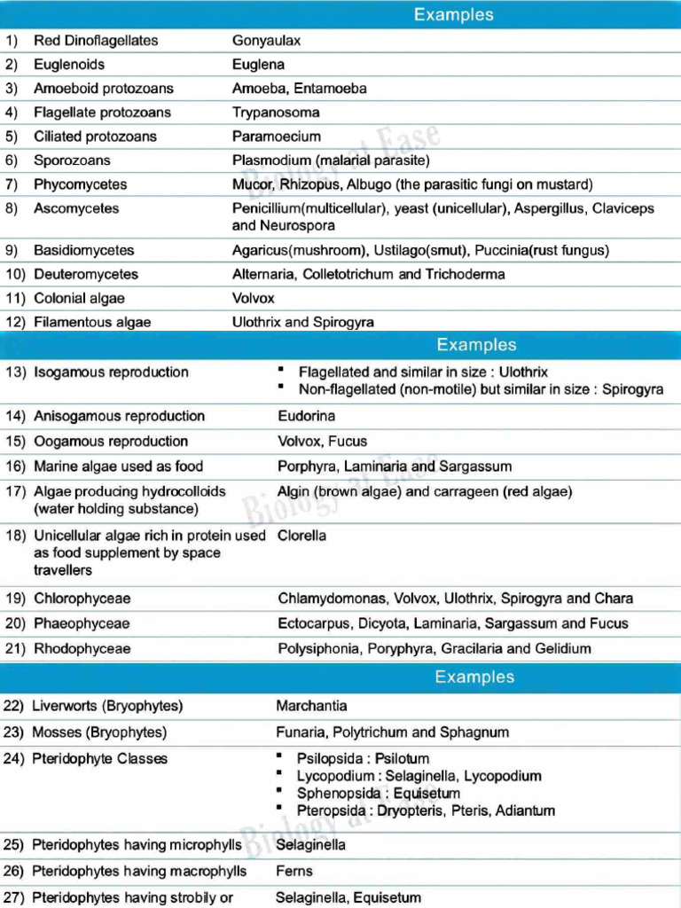 NCERT Biology All Examples | PDF