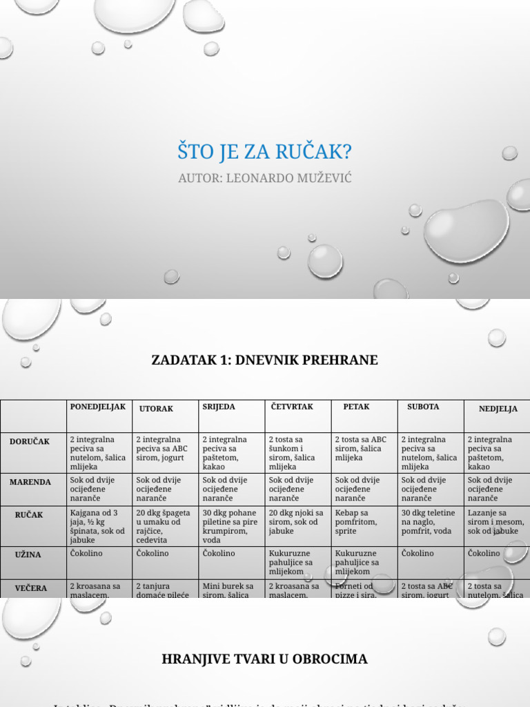 ŠTO JE ZA RUČAK | PDF