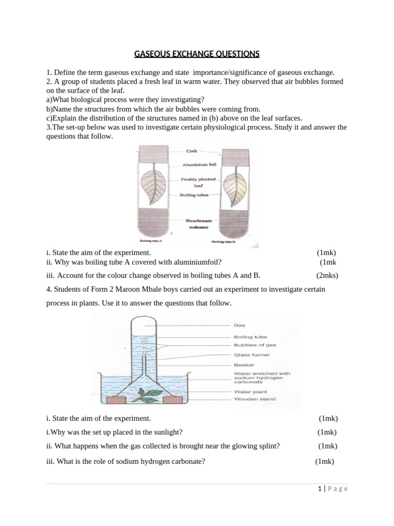 Gaseous Exchange: Form 2 Questions & Notes | PDF | Leaf | Stoma