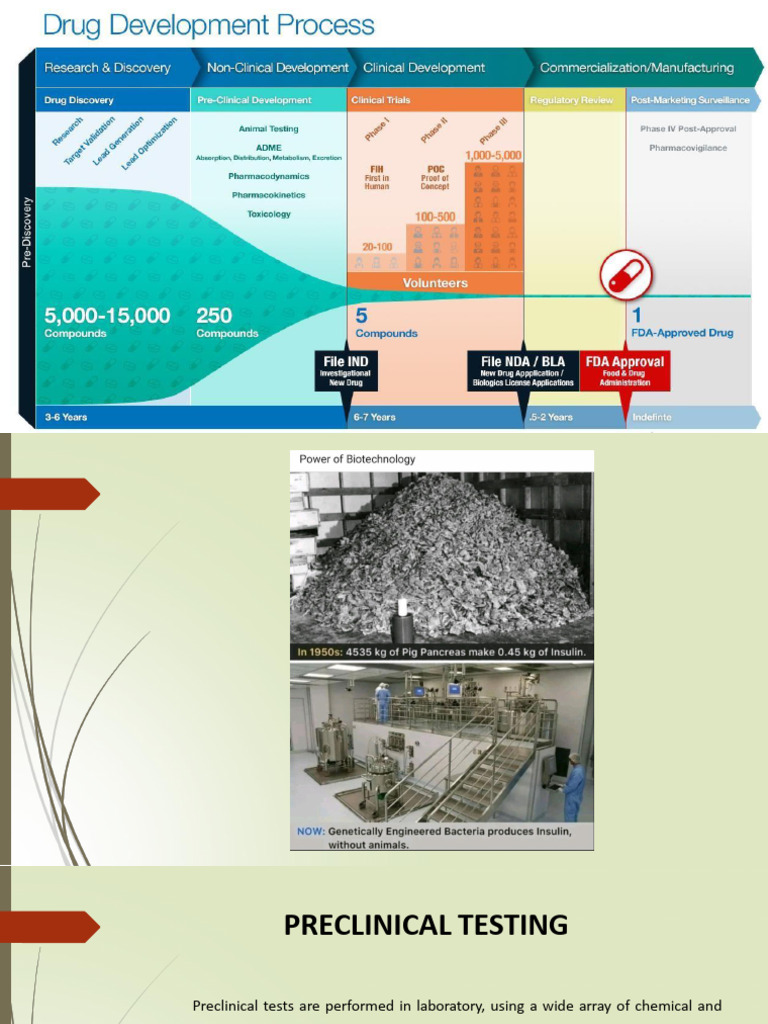 Drug Development Process | PDF | Pharmacology | Clinical Trial