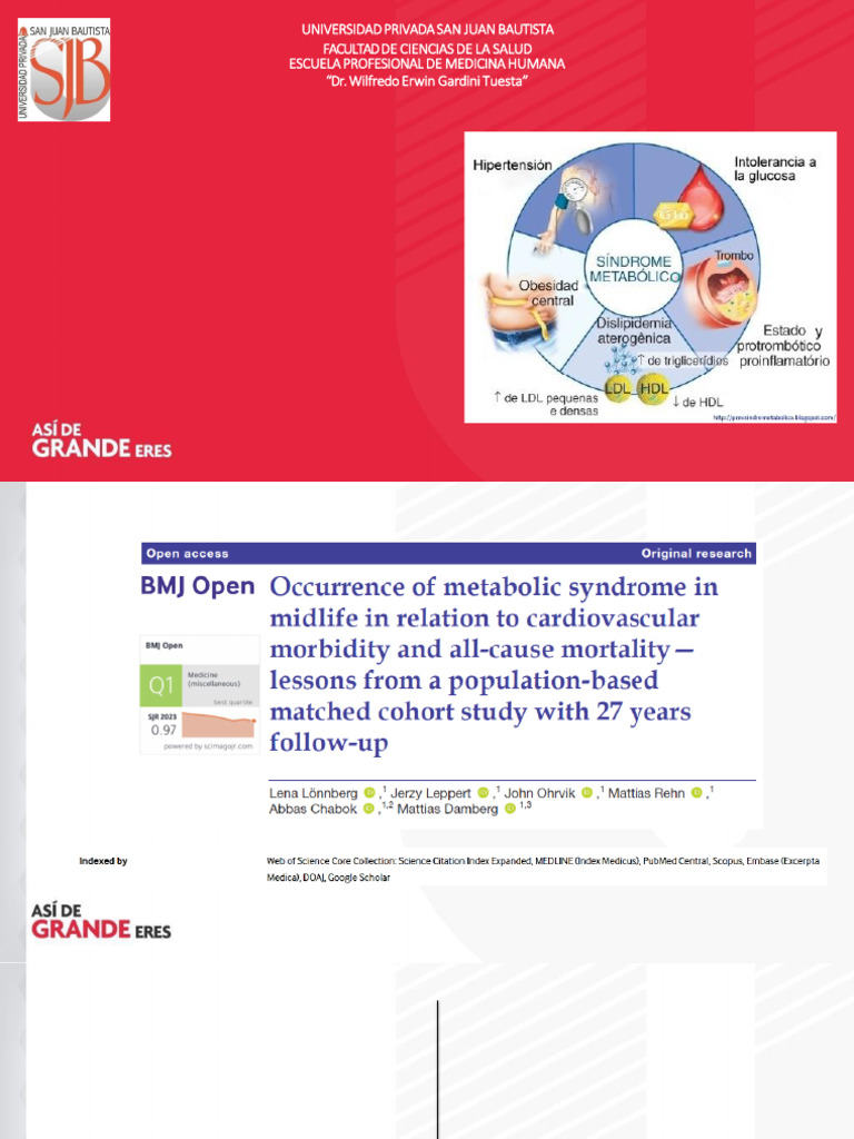 SINDROME METABOLICO - ARCA ARRAYA KYARA | PDF | Medicina CLINICA | Enfermedades y trastornos