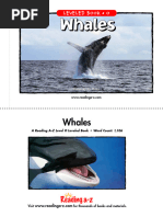 Whales | PDF