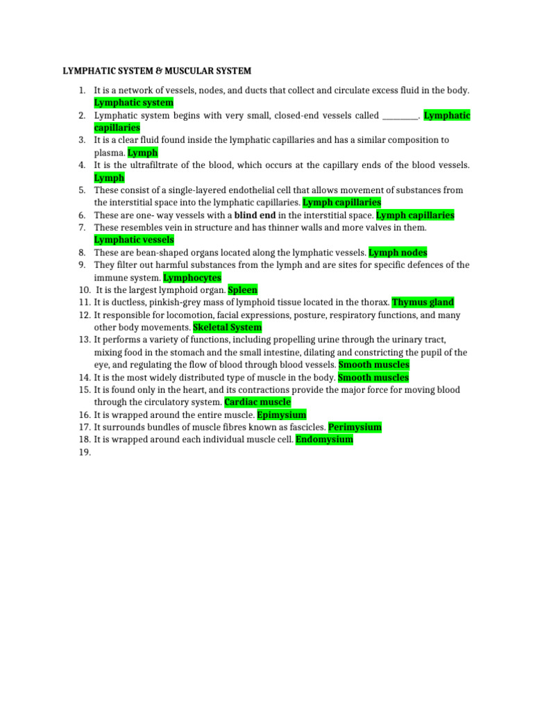 Lymphatic and Muscular System Interactions | PDF