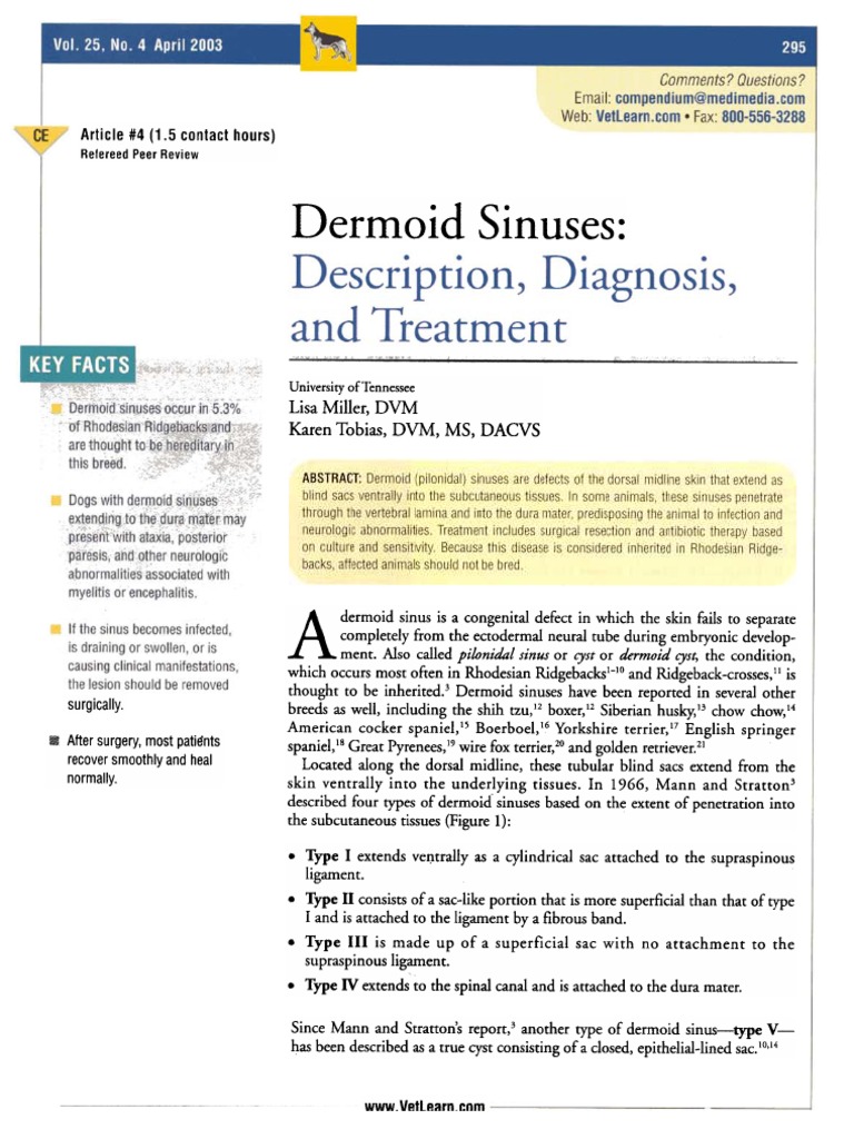Dermoid Sinuses: A Review of Clinical Presentation, Diagnosis, and ...