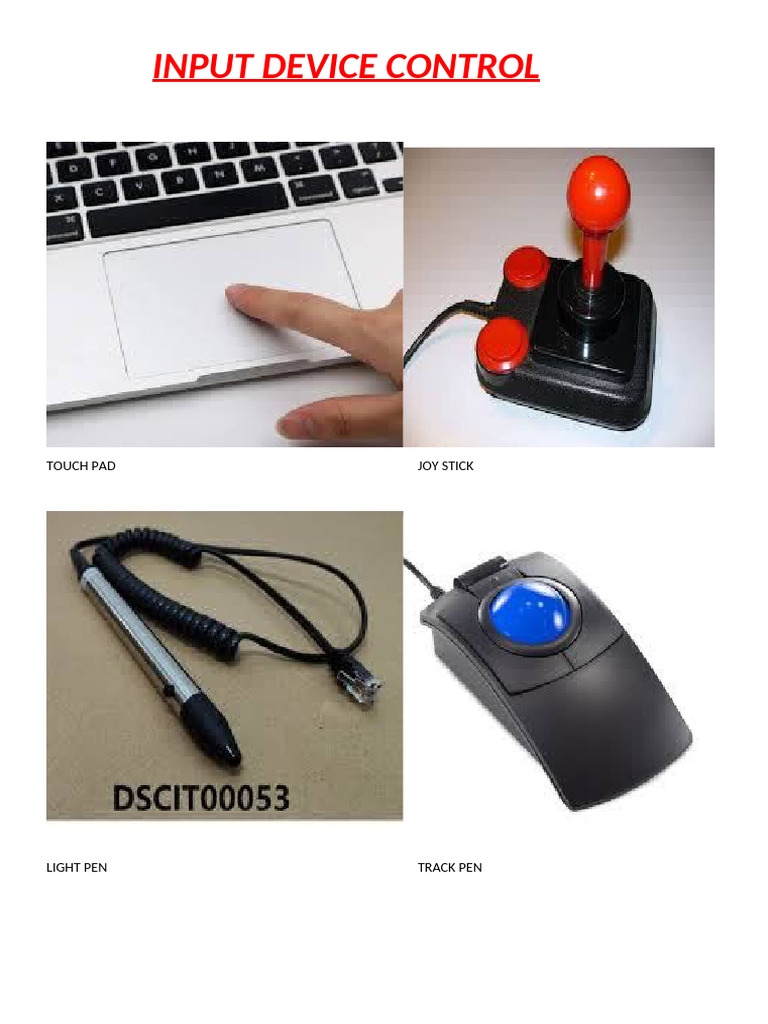 INPUT DEVICES | PDF