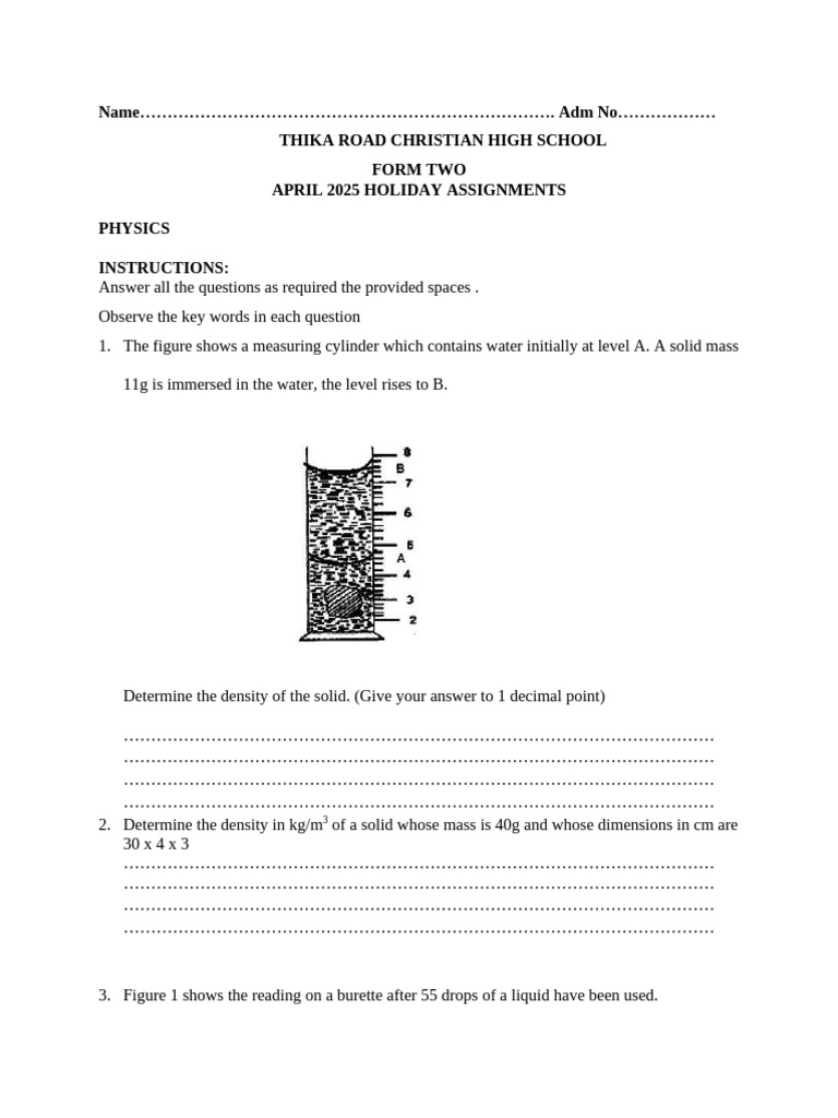 F2 April 2025 Holiday Assignment - Physics | PDF | Magnet | Density