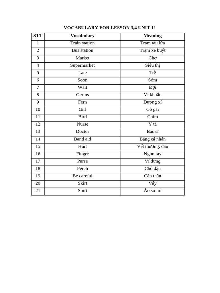 13.04.2025 Vocabulary Lesson 3,4 Unit 11 | PDF