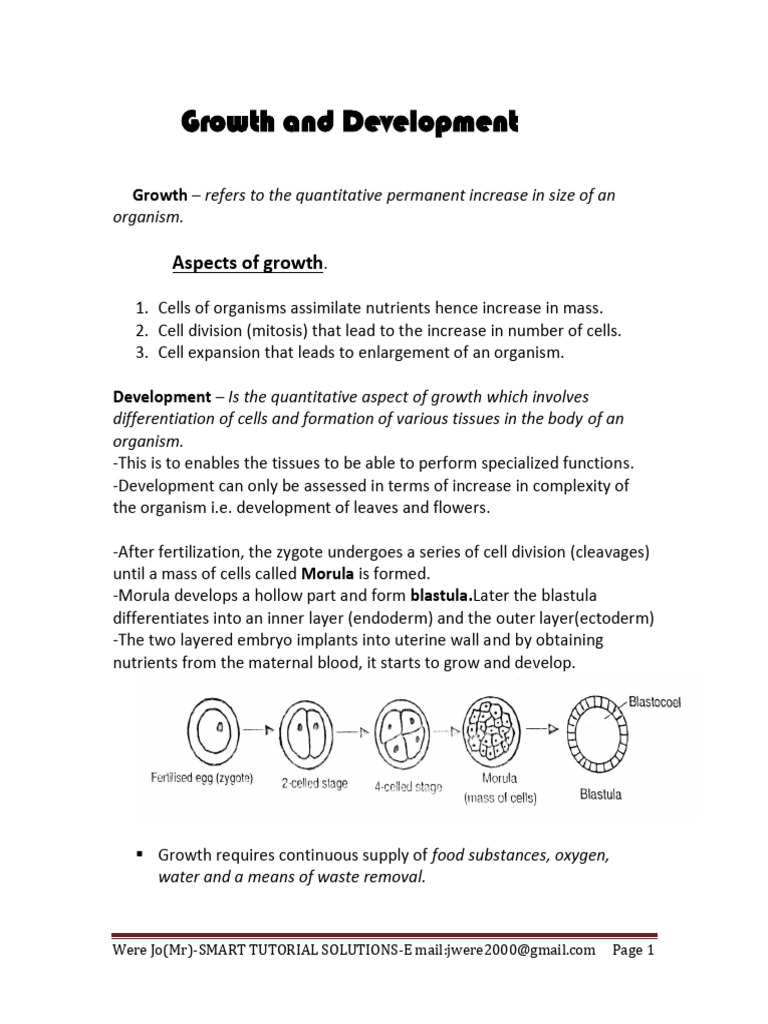 Growth and Development in Organisms | PDF | Seed | Germination