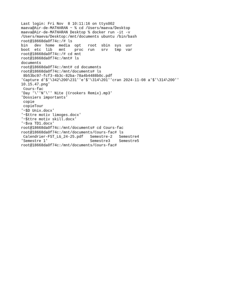 Docker Command for Accessing Documents | PDF