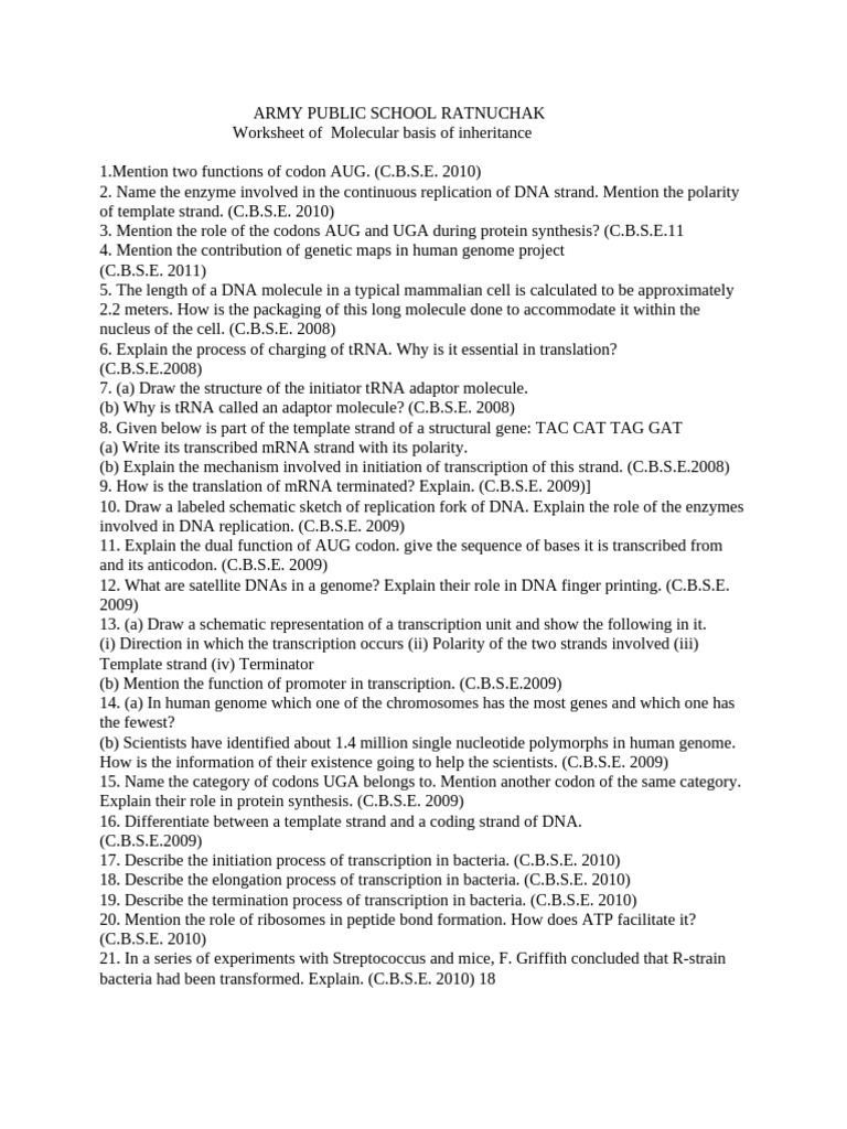 Molecular Basis of Inheritance | PDF | Translation (Biology) | Dna