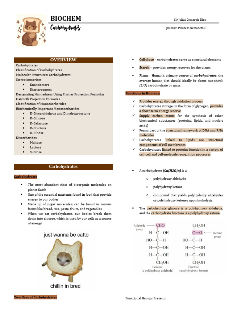 BIOCHEM_CARBOHYDRATES_NOTES_ | PDF | Carbohydrates | Glucose