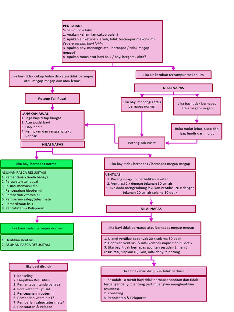 Manajemen Bayi Baru Lahir | PDF
