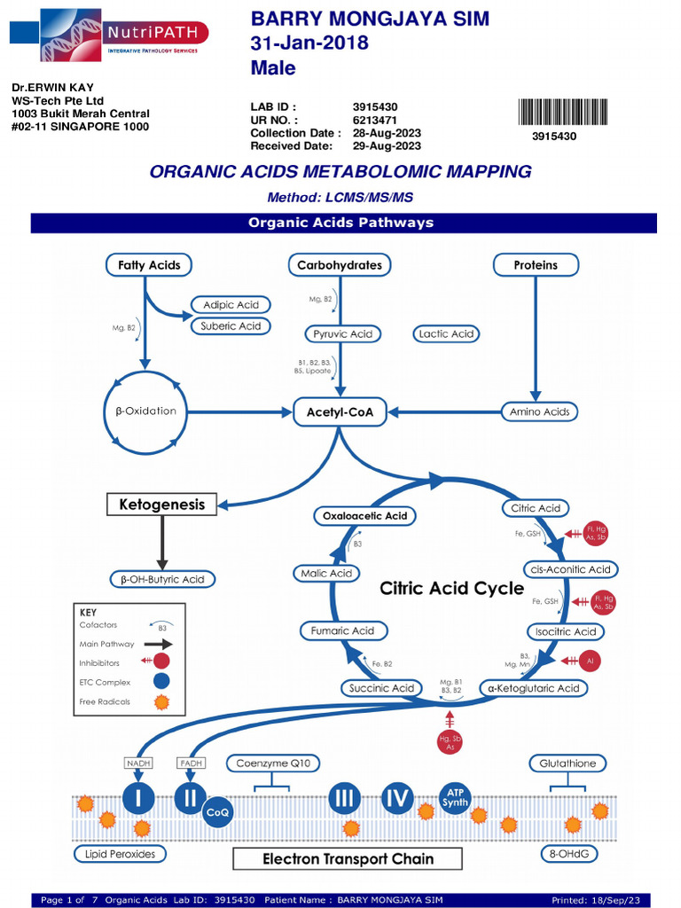 Kay Erwin 3915430 Barry Mongjaya Sim-Organic Acids | PDF