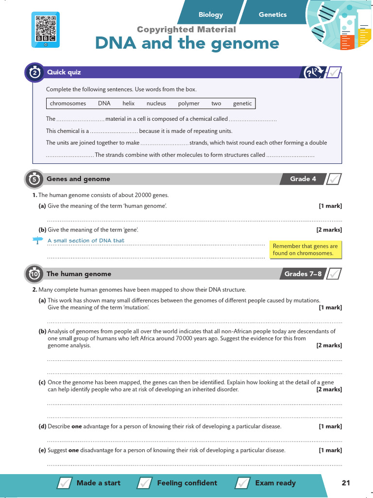 Bitesize Edexcel Gcse Combined Science Higher Workbook Sample PDF | PDF ...