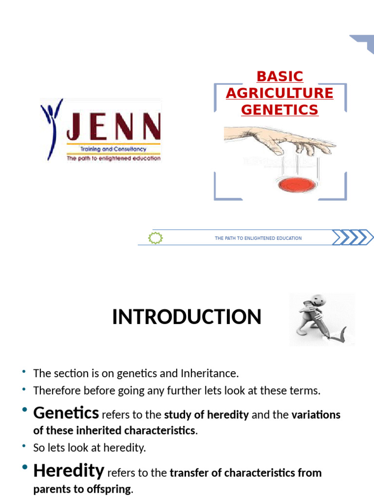 Genetics Presentation | PDF | Dominance (Genetics) | Genotype