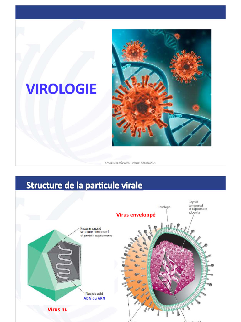 Virologie 12 | PDF