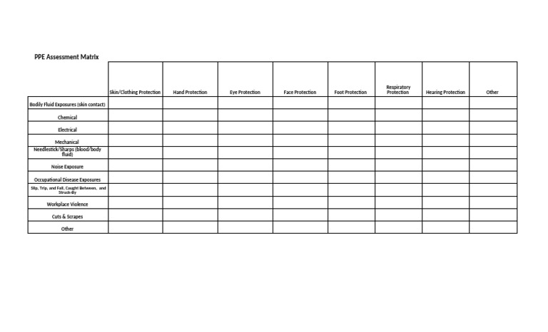 PPE Assessment Matrix | PDF