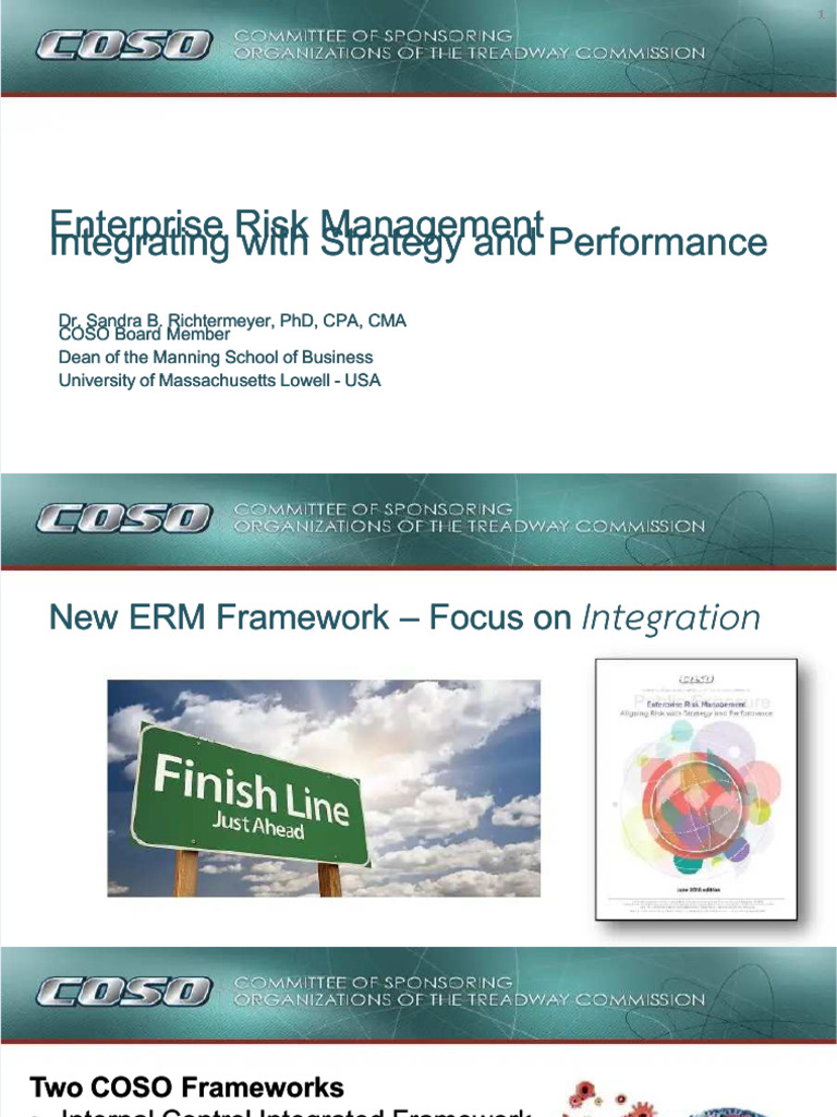 PDF Coso Erm 2017 - Compress | PDF