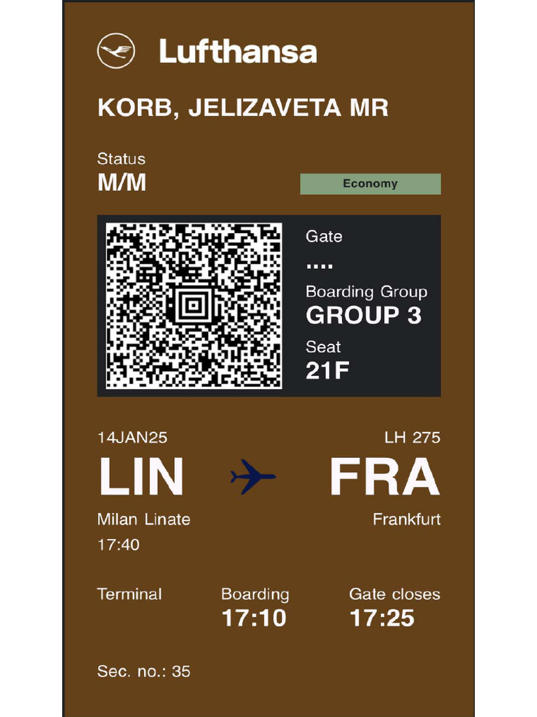 1 - Boarding Passes PDF | PDF